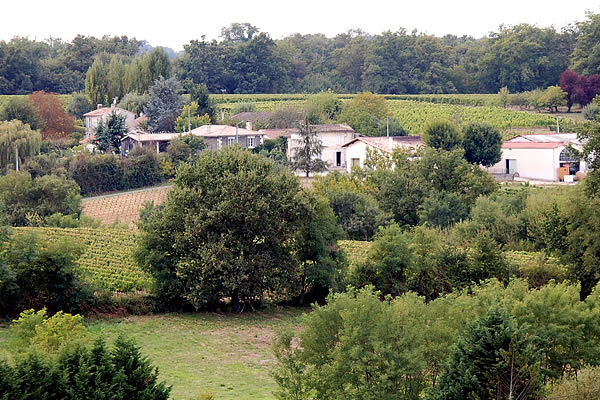 LALANDE-LABATUT SITE OFFICIEL. GRANDS VINS DE BORDEAUX -France